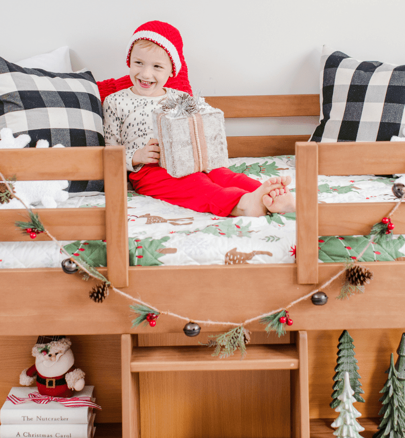 Top 10 Most Giftable Beds for the 2023 Holiday Season – Max and Lily